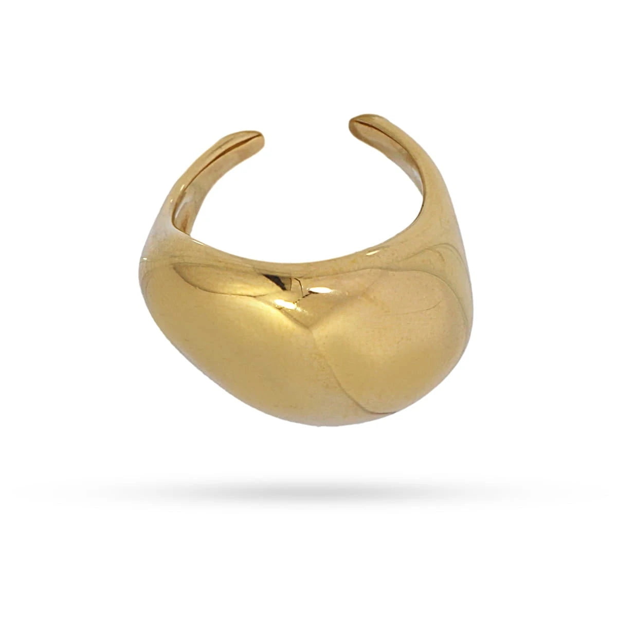 Shani ring BAN043 style and quality in steel - Anartxy